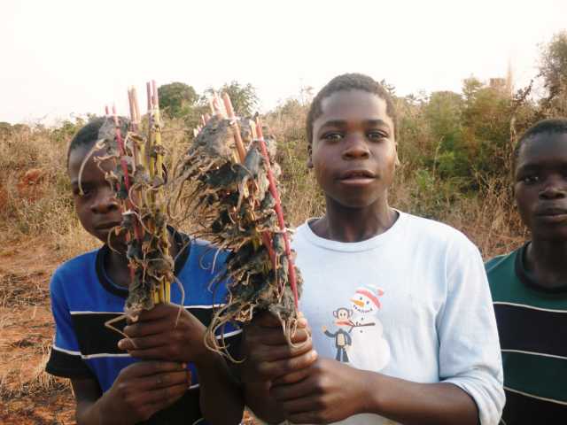 India Orphanage Updates